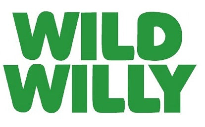 Shop the best toys in Lebanon online! – Wild Willy